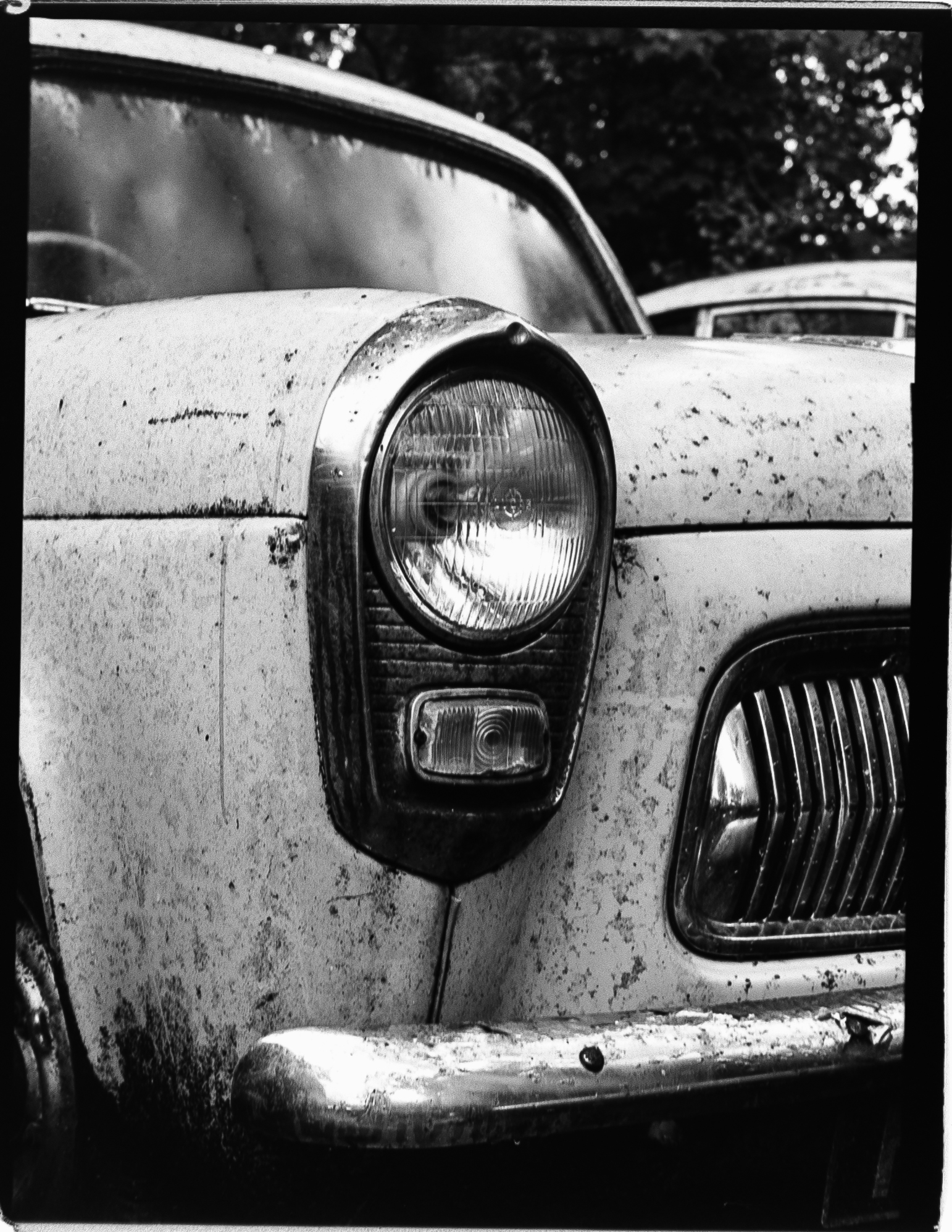 Rollei Retro 80s Film